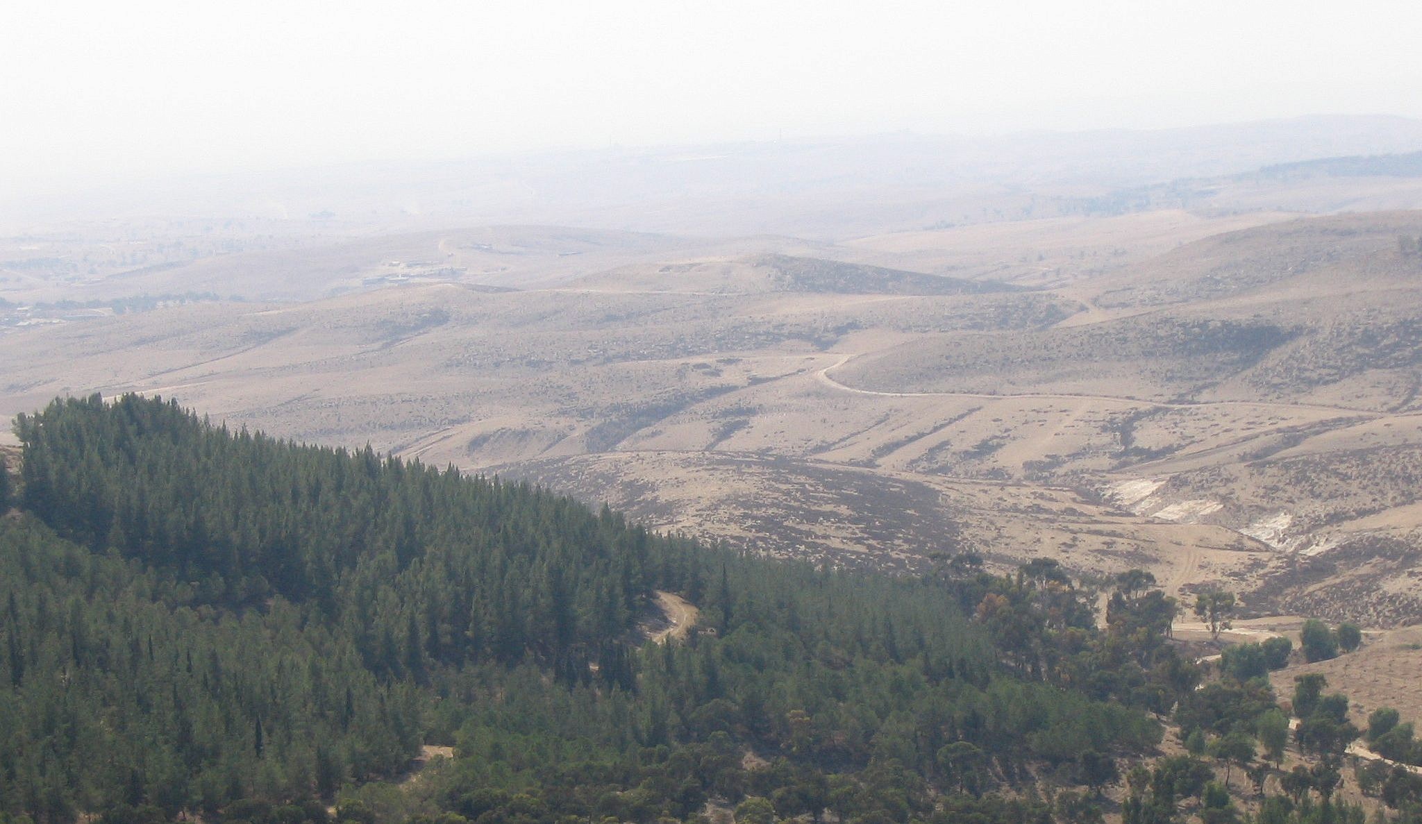 In defense of Keren Kayemet LeIsrael’s tree-planting - JNS.org