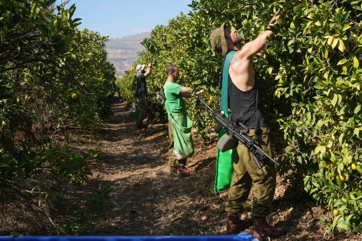 Emergency fund to help rebuild Israeli border farms - JNS.org