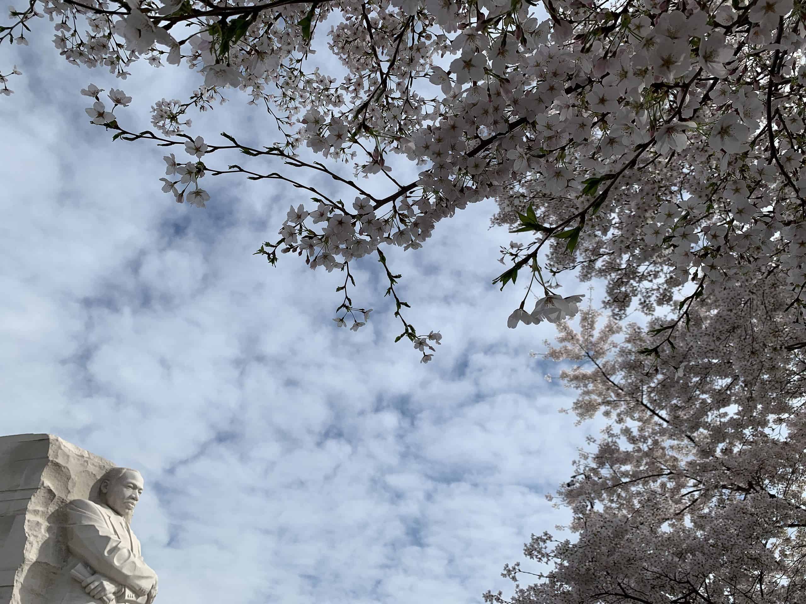 Jewish communities to celebrate MLK Day across the nation - JNS.org