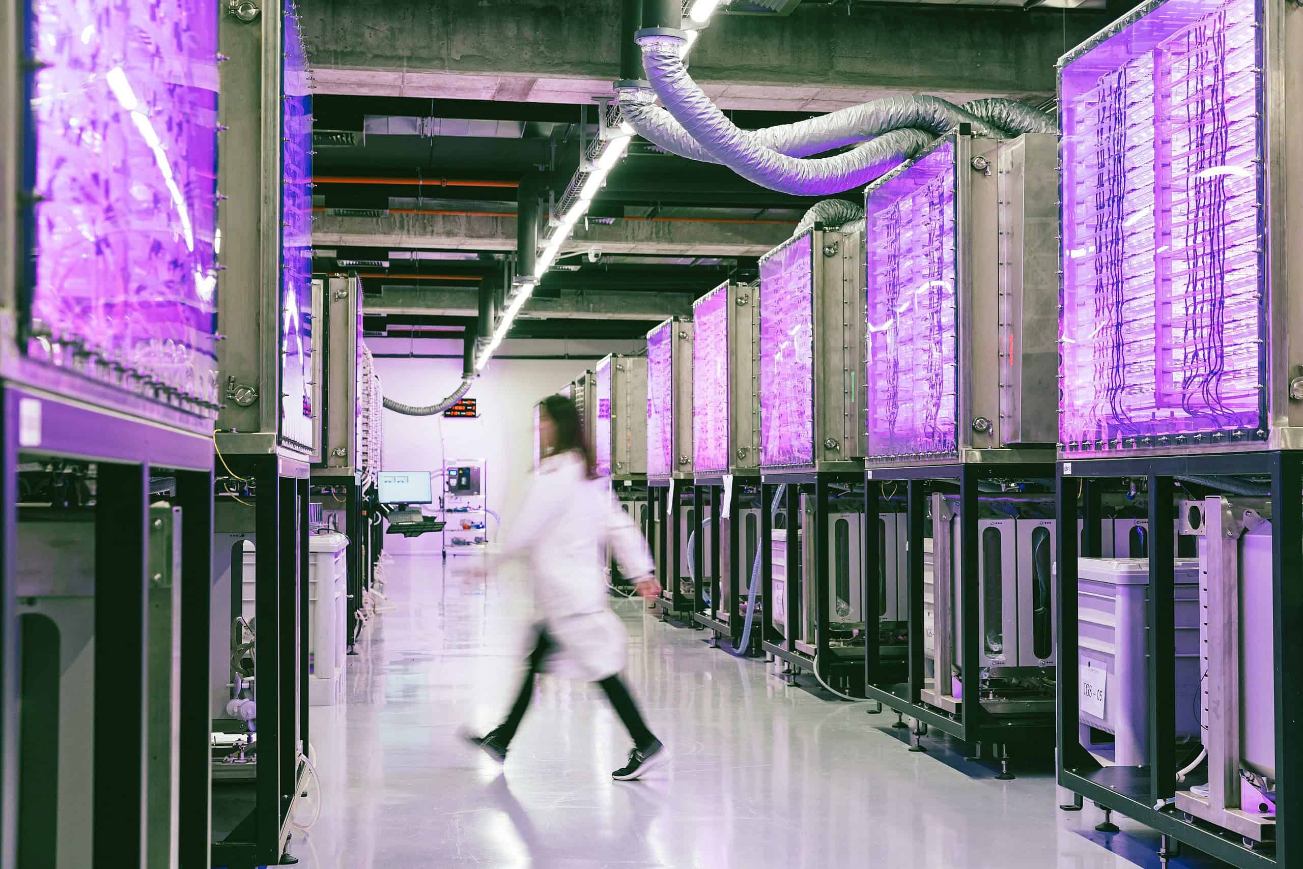 GreenOnyx sets industry-quality standard for its flagship fresh ...